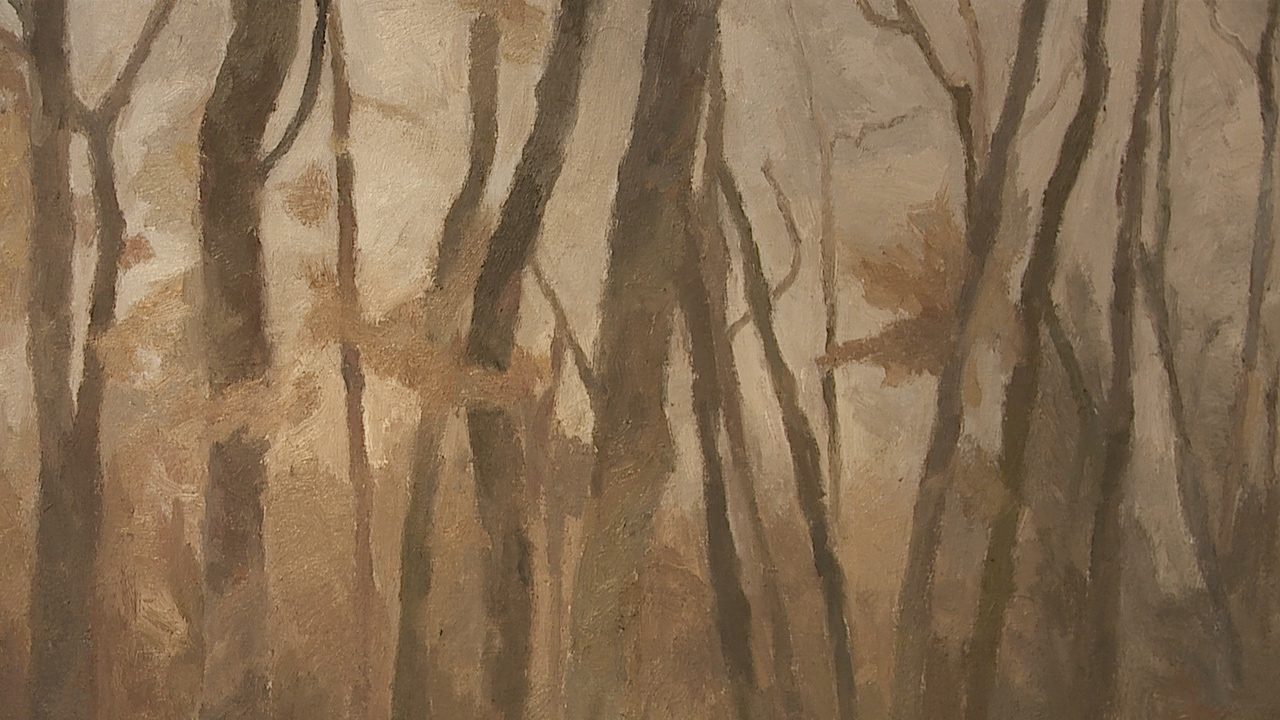 Gradini urbane de Ana Petrovici Popescu - Sensoarte